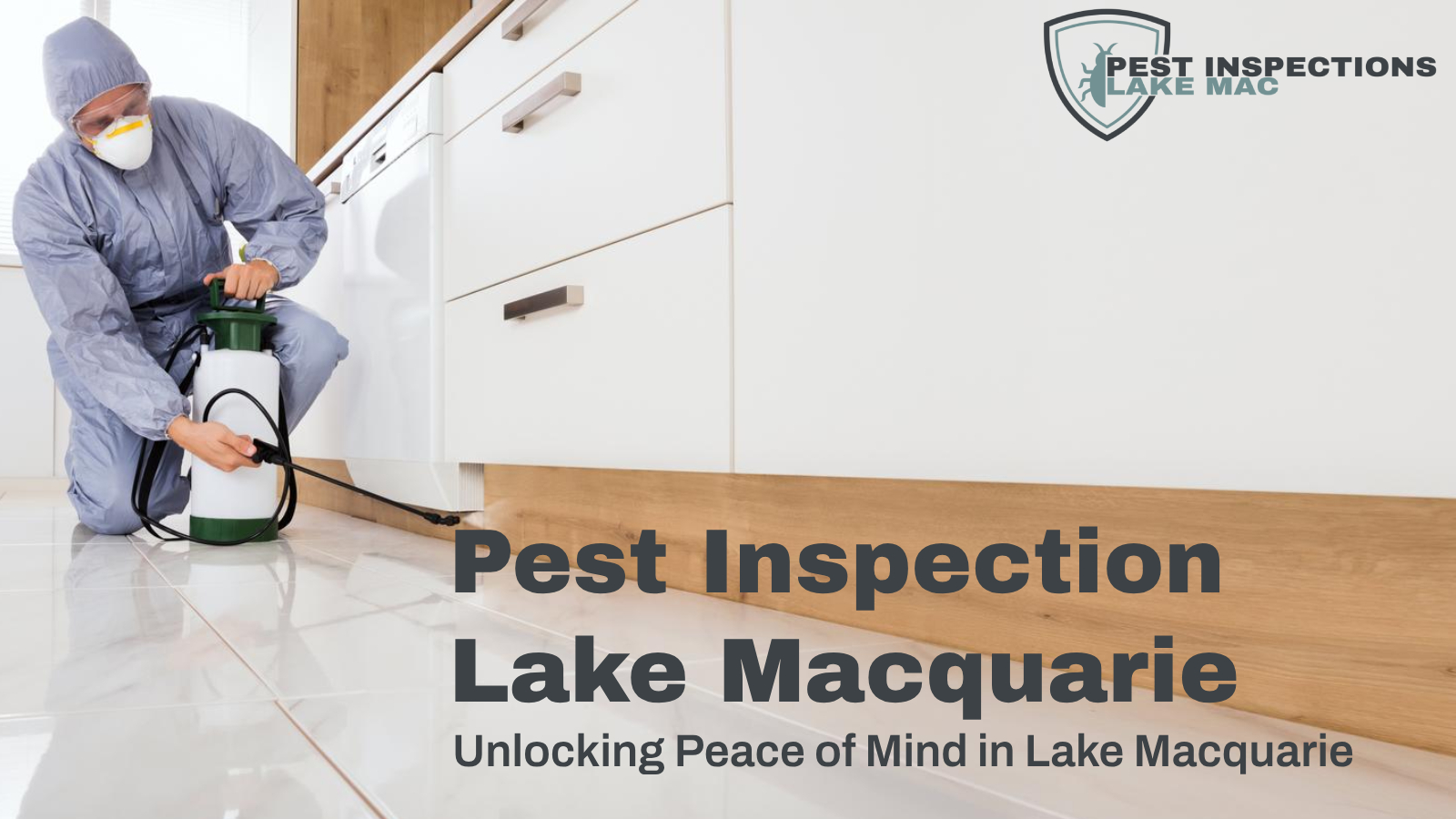 Contact Us for Pest Inspection for Property's Safety